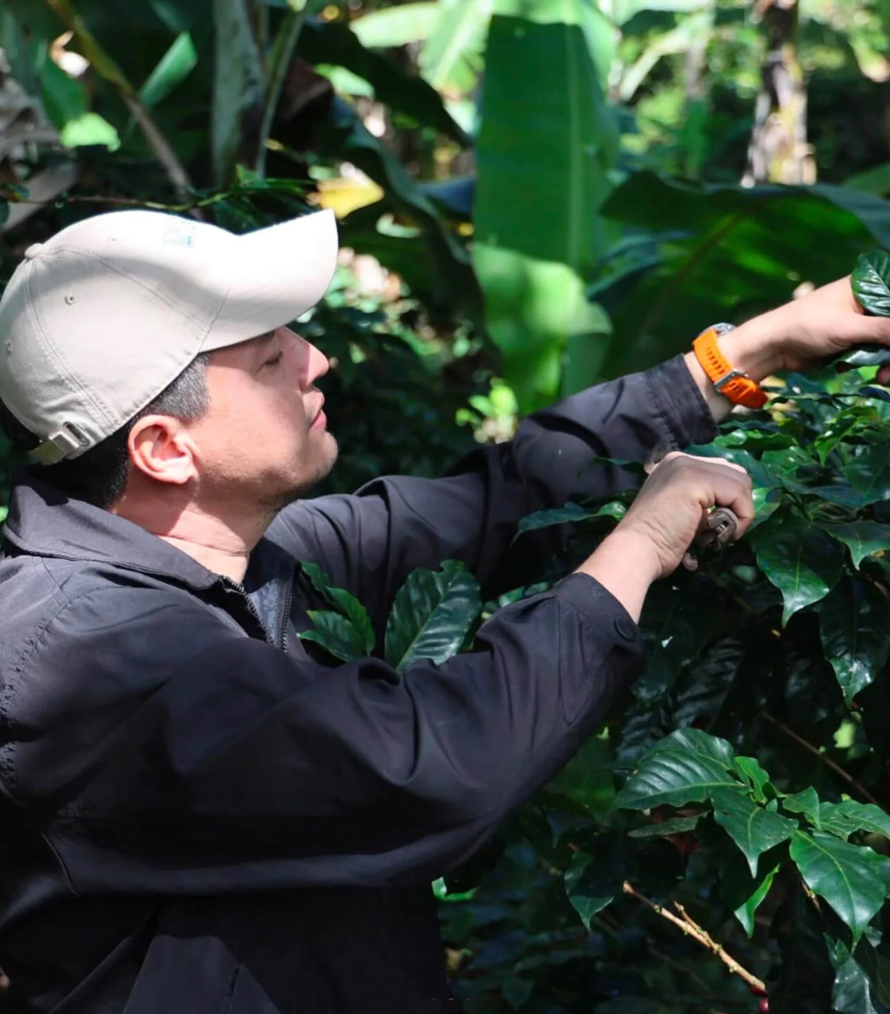 New Wholesale – Think Coffee NYC